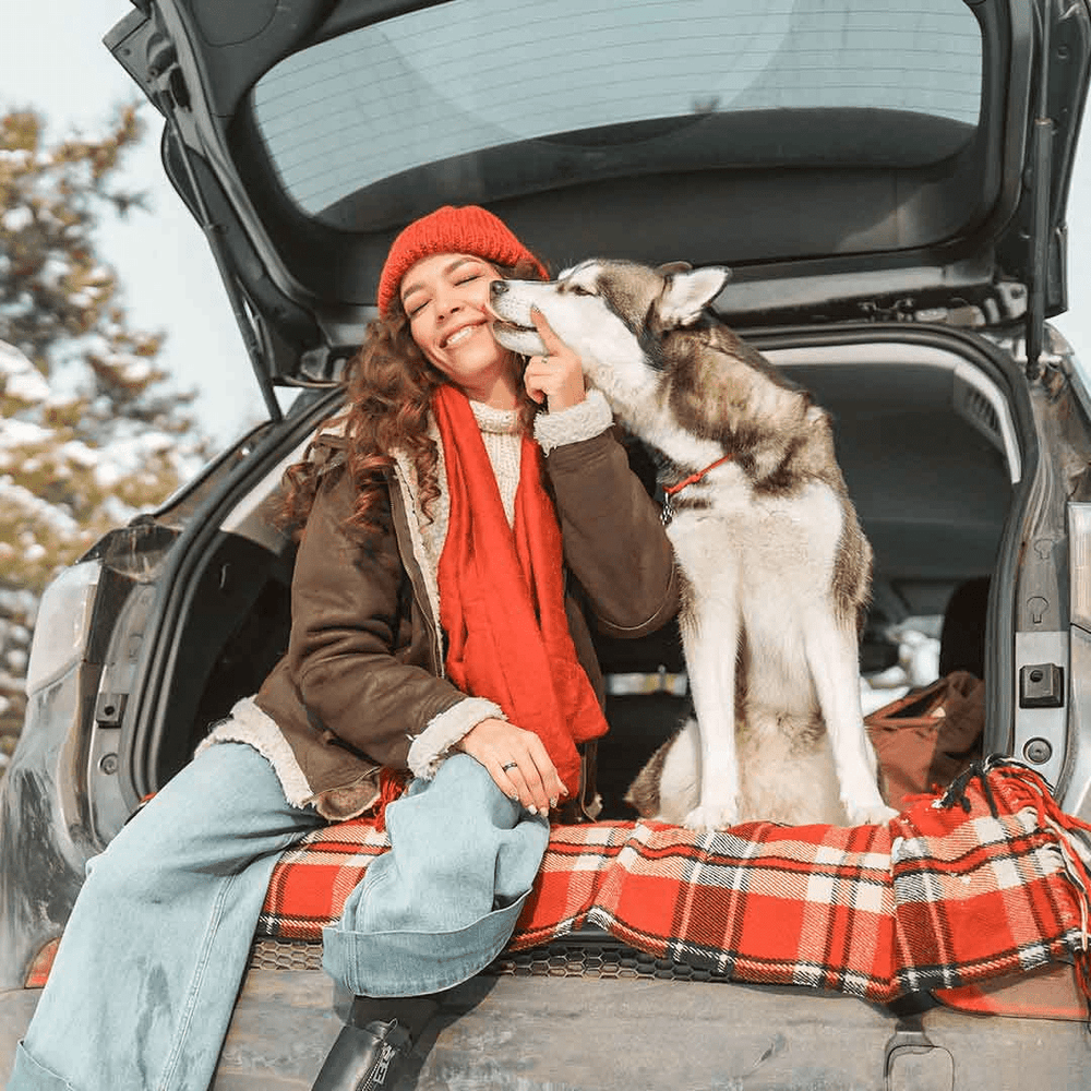 Buy Adult Dog Food | Healthy & Premium Quality – Happy Dog UK